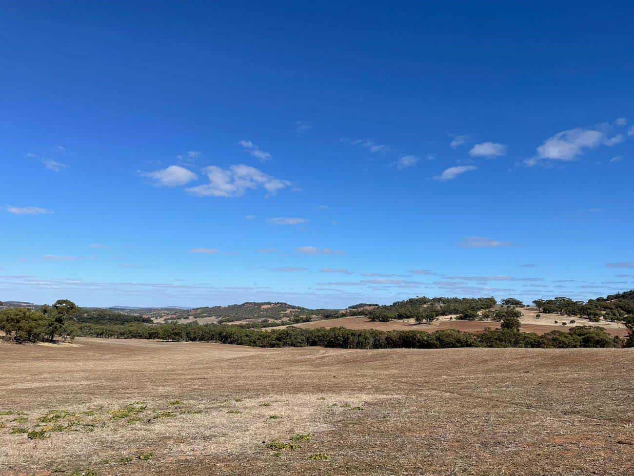 Carbon Farming: Start A Carbon Offset Project | Anthesis AU