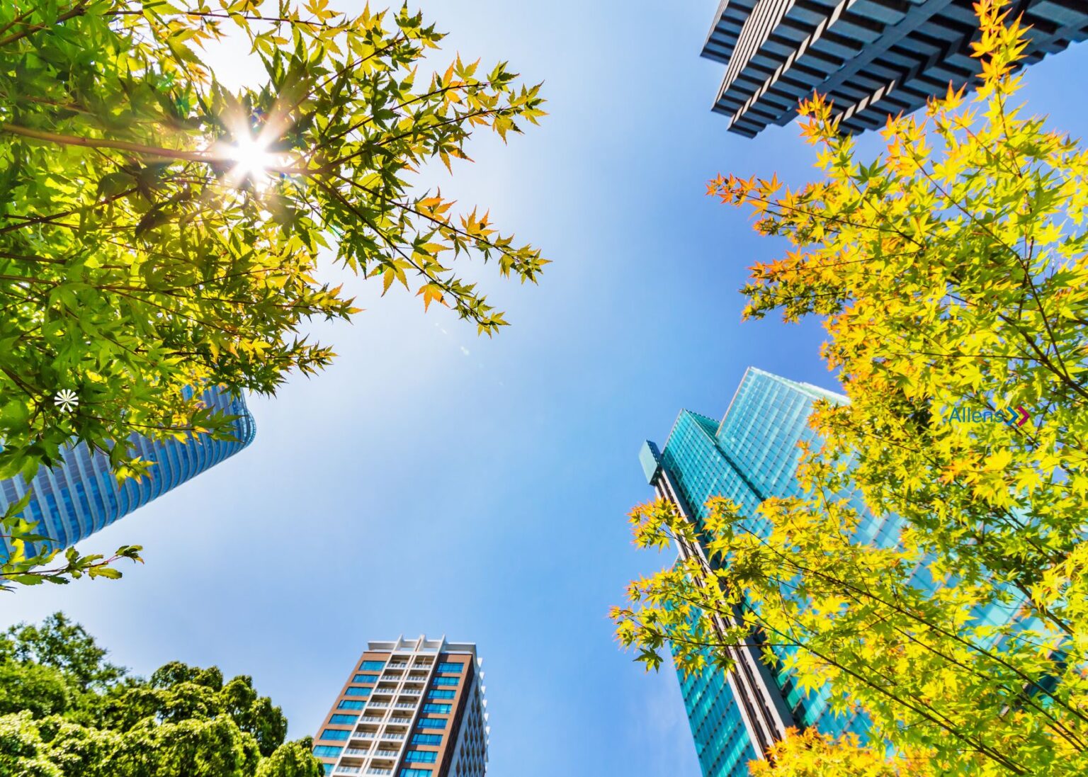 Prepare For Mandatory Climate Disclosures And The Australian Sustainability Reporting Standards ...