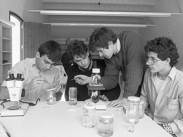 Lavola, des de 1981 | Catalunya