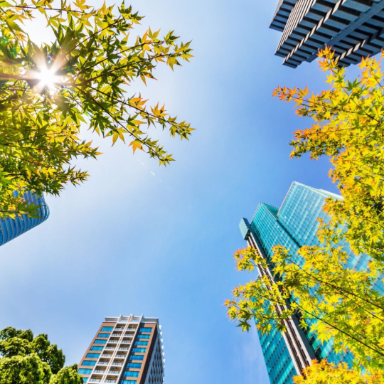 Réglementation Omnibus : Comment positionner sa stratégie ESG dans un contexte d'incertitude ...