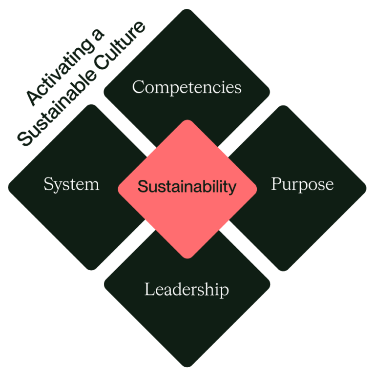 People-Centered Sustainable Transformation