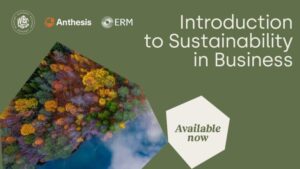 Anthesis Launches Business Sustainability Learning Program With WBCSD ...