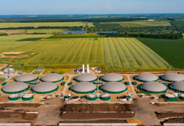 Carbon Project Development | Anthesis Global