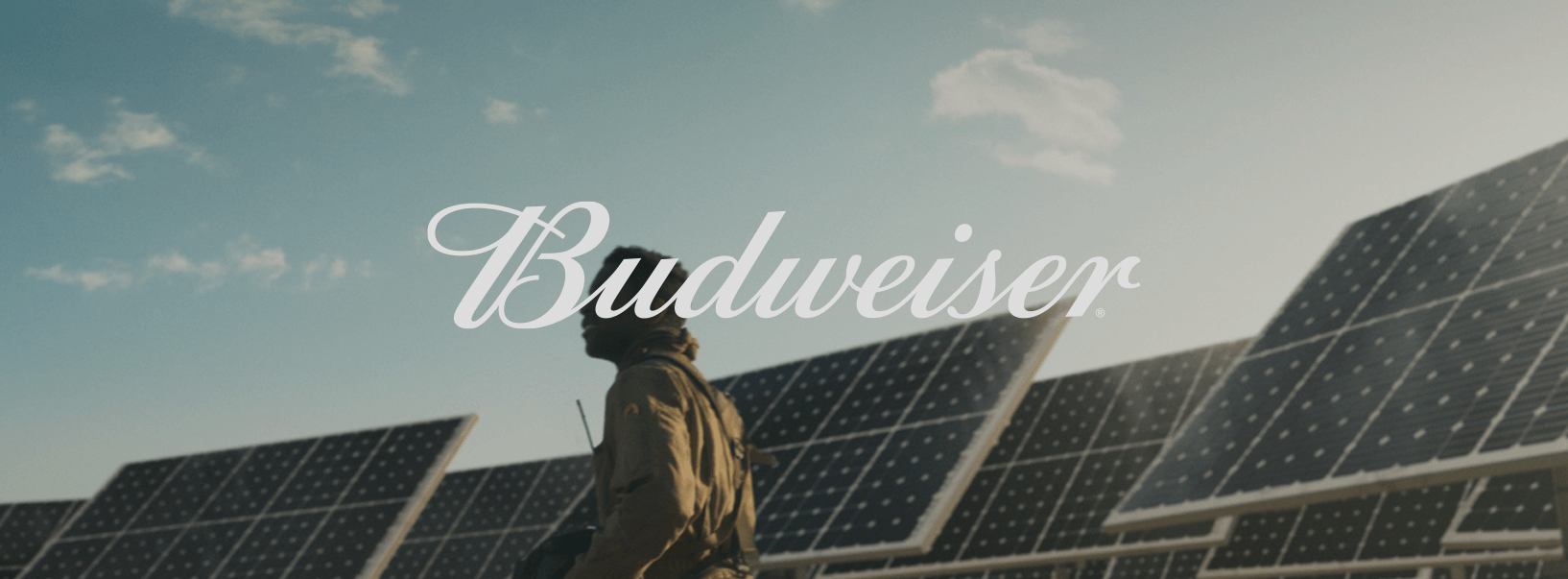 Transforming A Corporate Commitment With Budweiser | Anthesis Global