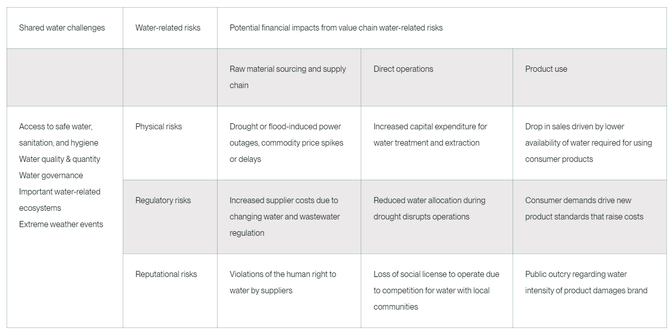 Water Stewardship Strategy: Corporate Implementation Guide