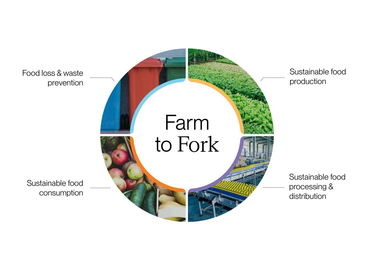 Food Waste Reduction: 5 Business Benefits