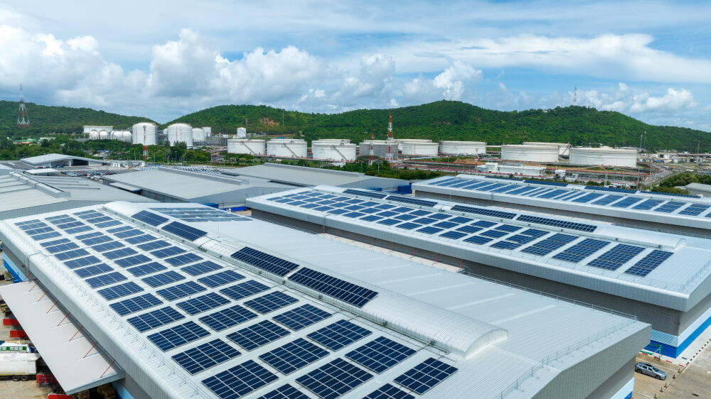 Organisational Energy & Decarbonisation Solutions