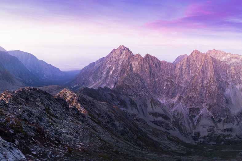 Anthesis España, Nombrado Socio De Formación Estratégico Por EcoVadis ...