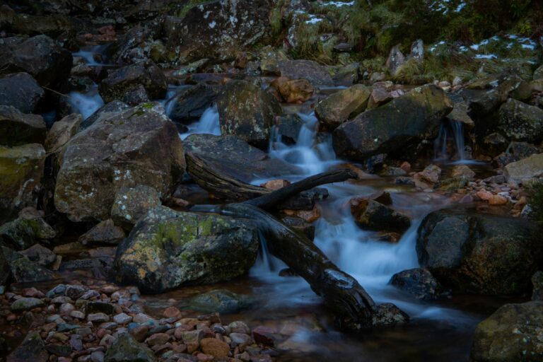 Nature Risk Is Now A National Security Threat | Anthesis Global