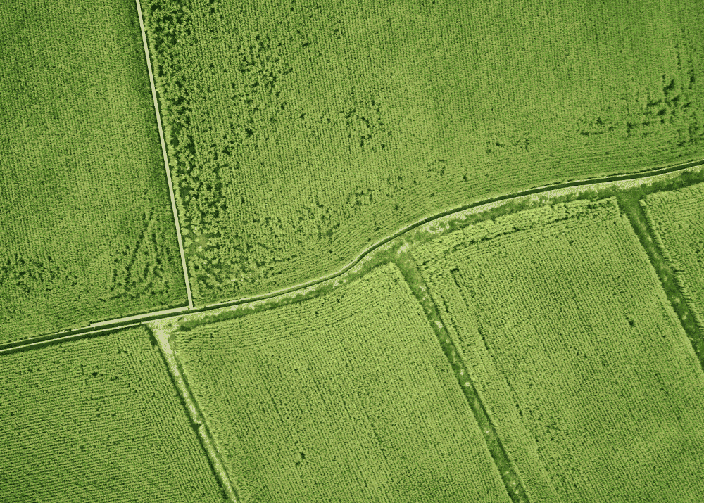 Webinar: GHG Update: Land Sector And Removals Standard