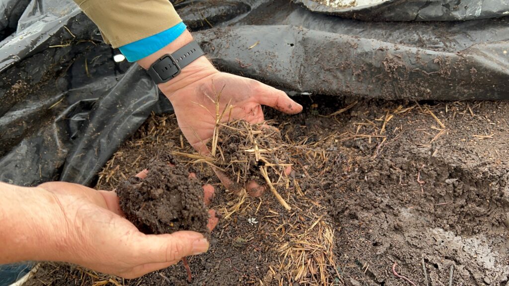 Digging Deeper: Soil's Vital Role in Combatting Climate Change ...