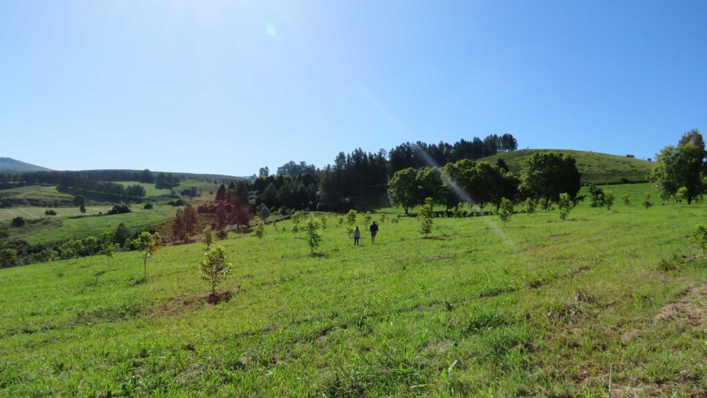 Out & About in the Central KZN Midlands - South Africa